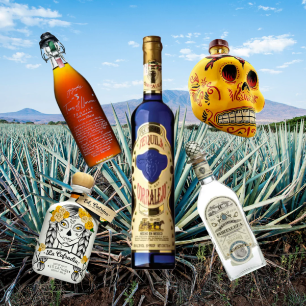 A guide to tequila, create custom glass bottles for tequila spirits